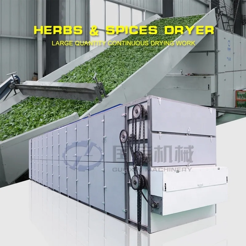 Continuous Automatic Grass Ginger Mesh Belt Dryer Shrimp Leaves Mango ...