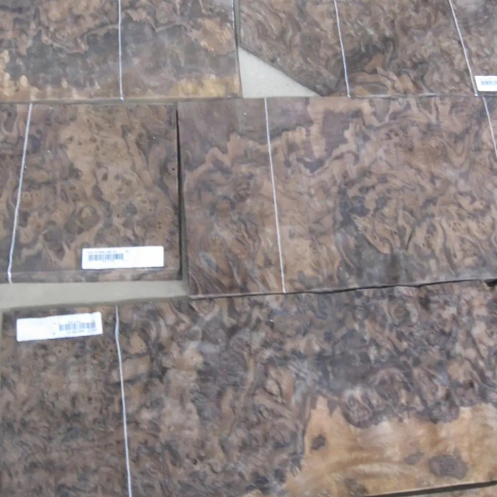 American Black Walnut Burl Wood Veneer - Buy Walnut Burl Veneer,Natural ...