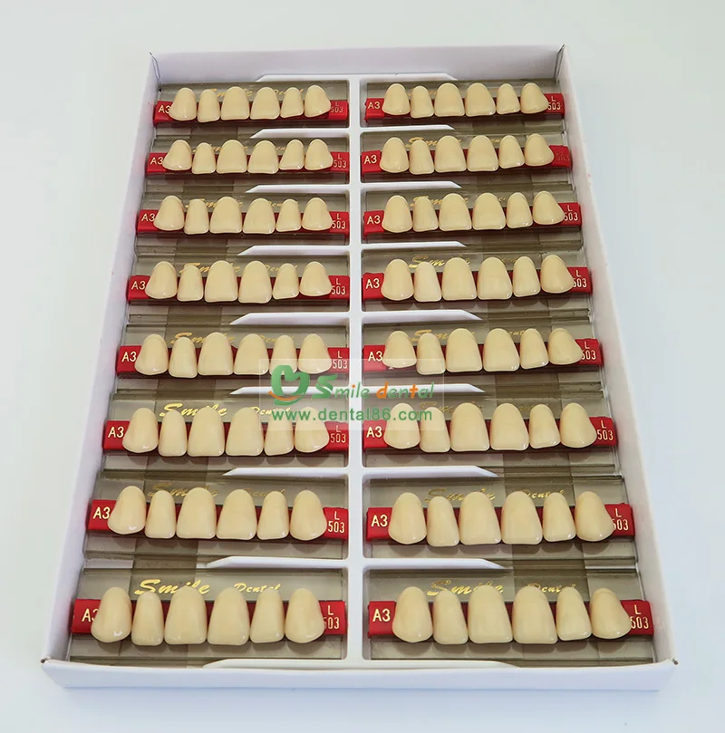 Upper and Lower Acrylic Anterior Teeth Resin Teeth| Alibaba.com