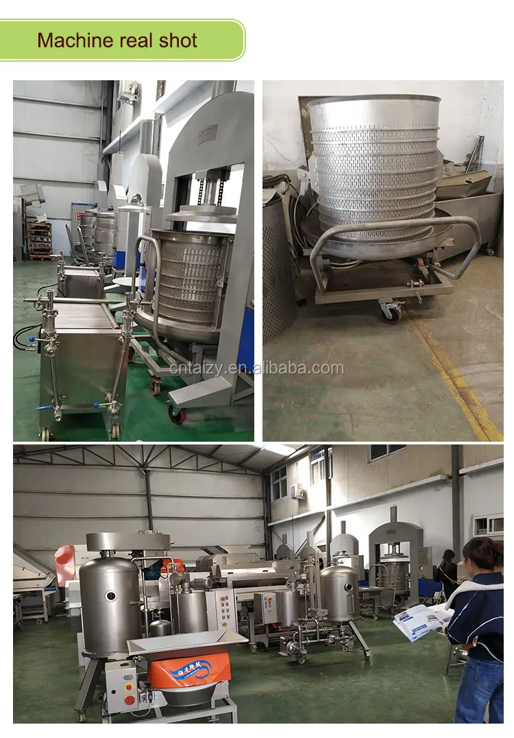 TZ-800 Grape Pressing Machine - Efficient & Durable