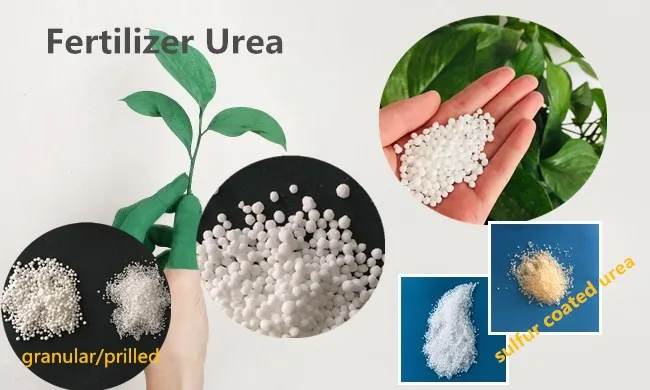 Urea Fertilizer Urea N46% - High Quality Nitrogen Source