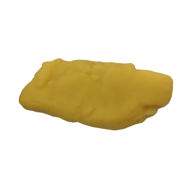 1KG Fat Model, Human Body Fat Anatomical Model for Education| Alibaba.com