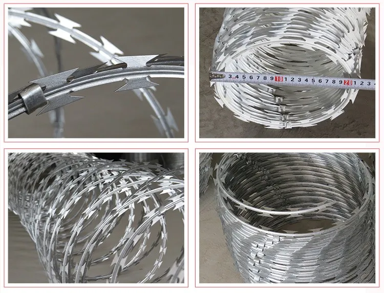 Concertina sharp razor Coil Wire| Alibaba.com