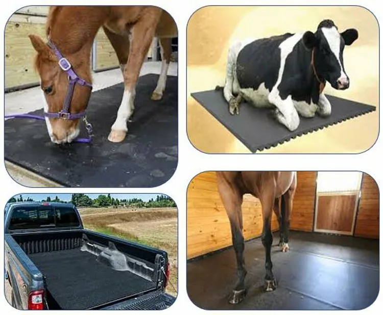 Equine Rubber Pavers Horse Stall Mats| Alibaba.com