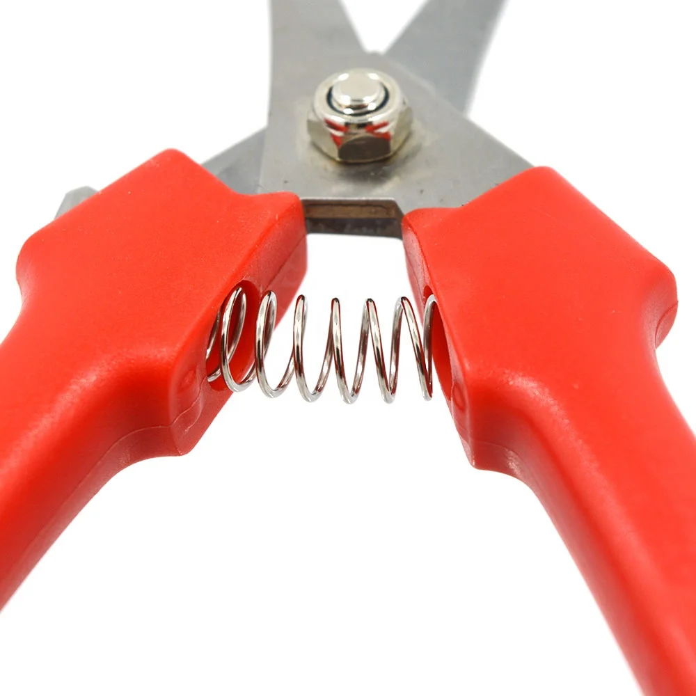 Cutter Stainless Steel Garden Scissor Pruner Small Trimming Pruning ...