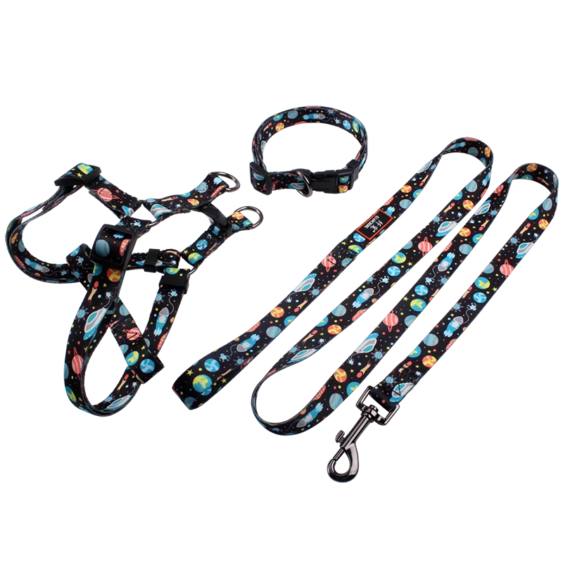 Qqpets Sublimation Design Dog Collar And Leash Set Custom Personalized ...
