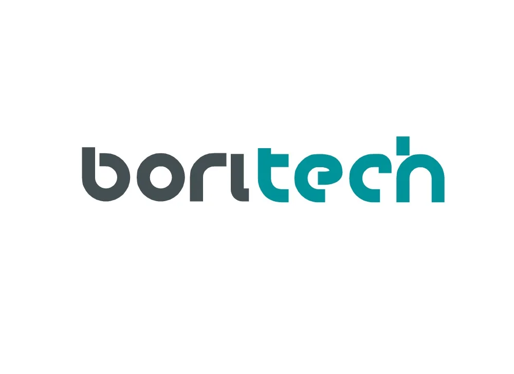 Company Overview - Fuzhou BoriTech Technology Co., Ltd