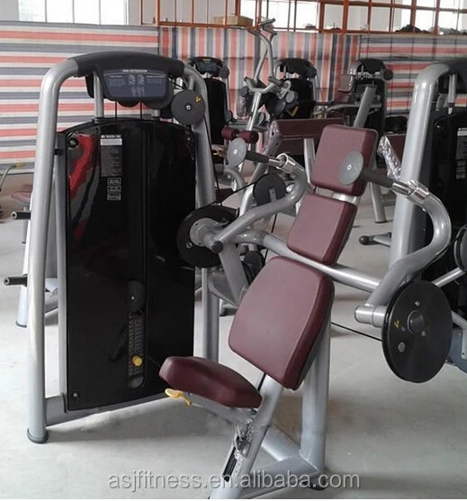 Heavy Duty Body Building Arm Extension Training Fitness Equipment ...