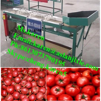 Hot Sale Tomato Grading Machine/cherry Tomato Sorting Machine/cherry ...