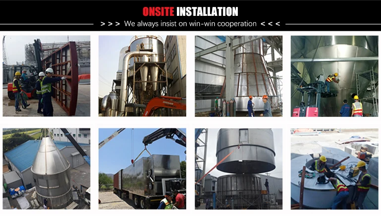 Continuous Belt Dryer - Efficient Grain & Rice Dehydrator