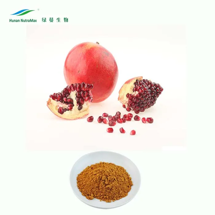 Pomegranate Seed Extract Oil With Polyphenols 40% 80% - Buy Pomegranate ...