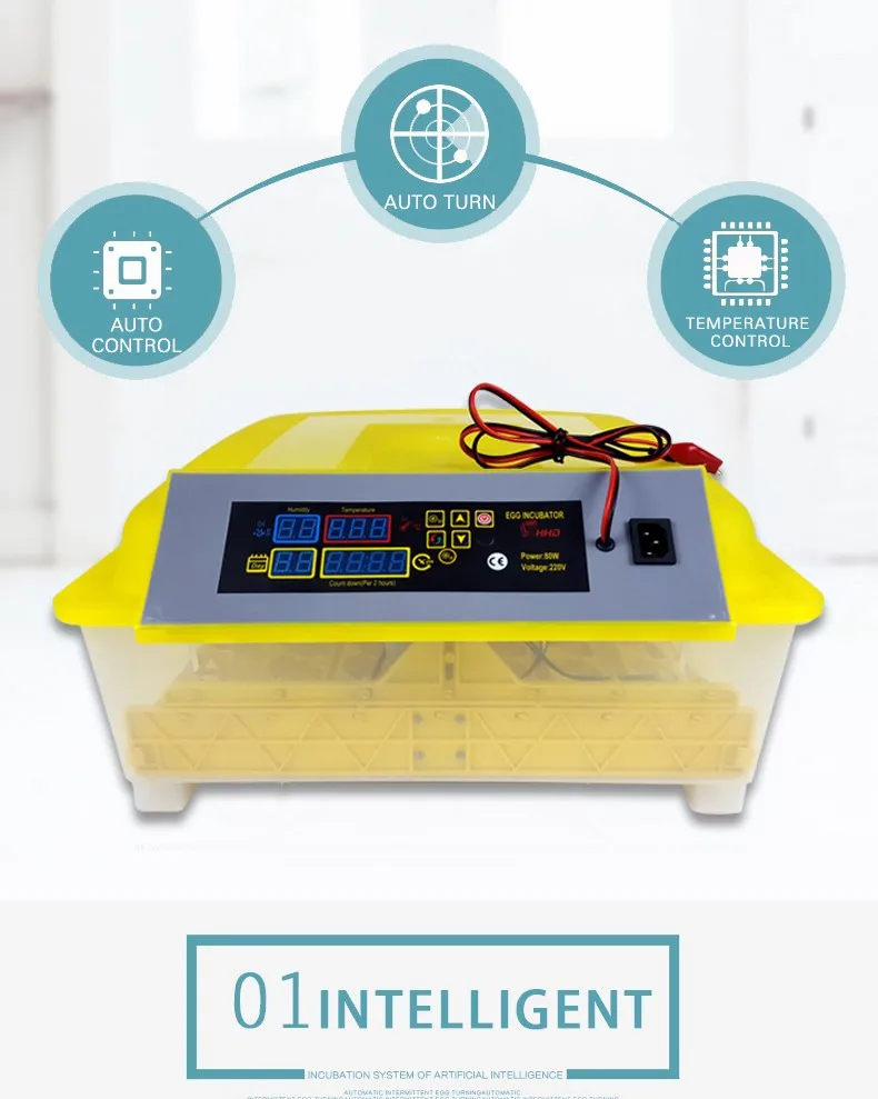 Hhd Plastic Automatic 110v 220v 12v Ac/dc Dual Power 48 Mini Egg ...