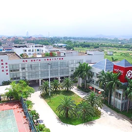 Company Overview - Guangdong Kangrong Industrial Co., Ltd.