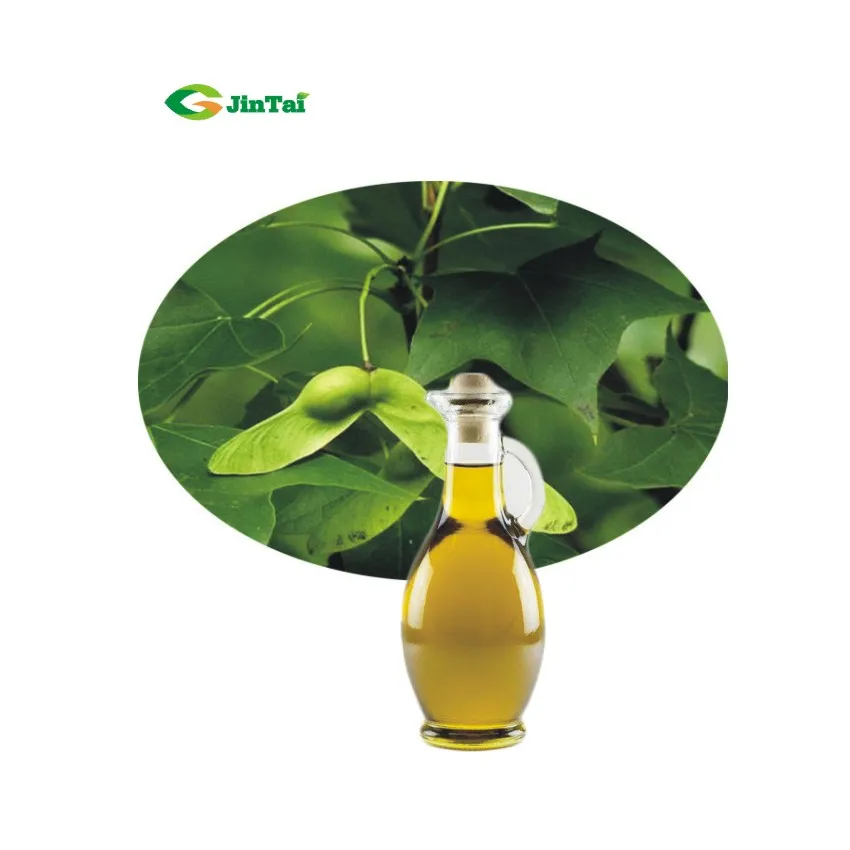 Maple Seed Oil - Rich in Selacholeic Acid & Nervonic Acid