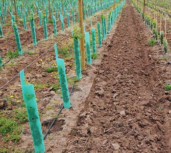 Plastic Pp Coroplast Tree Guard Shelters Wrap - Buy Pp Coroplast Wrap ...