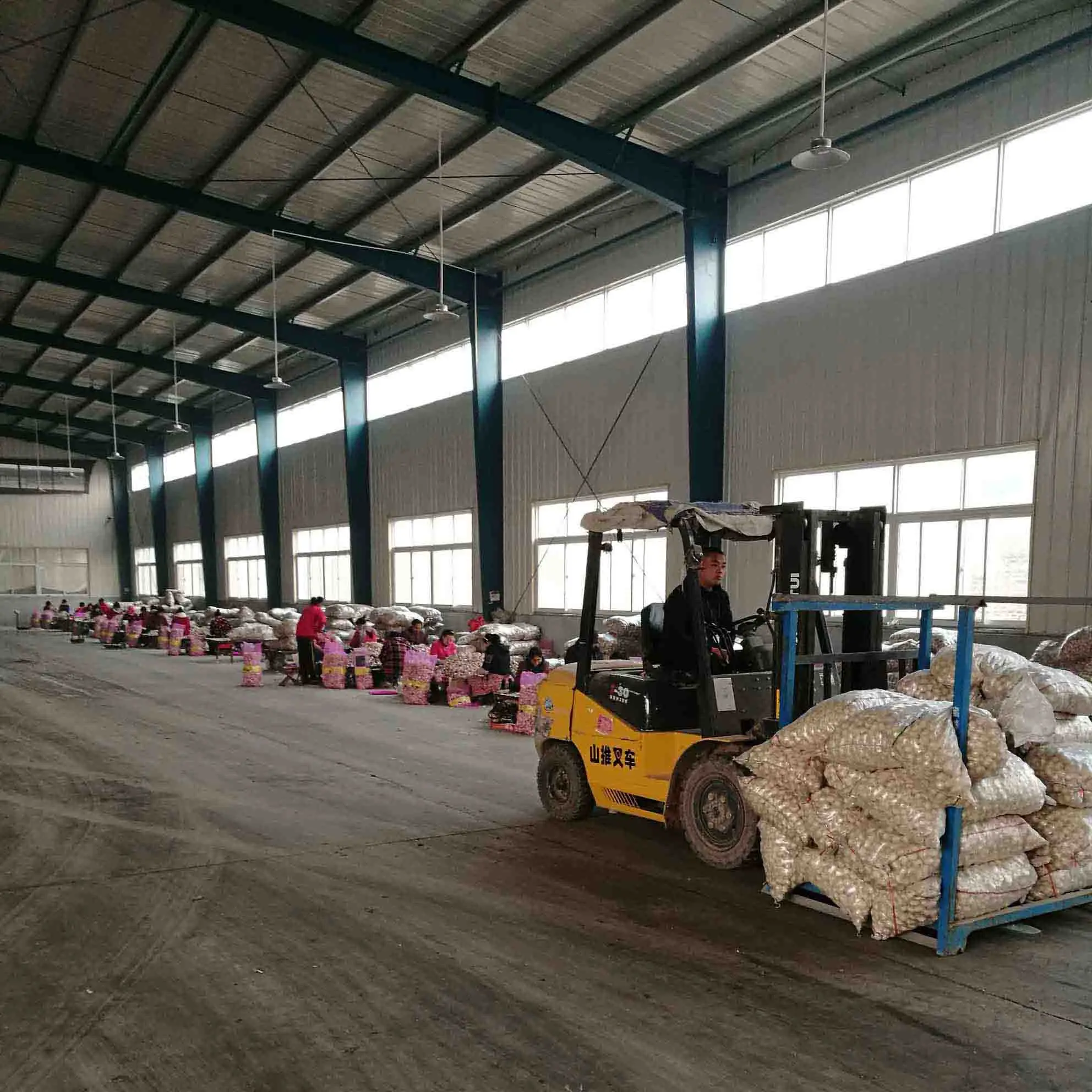 Company Overview - Jinxiang Liming Trading Co., Ltd.