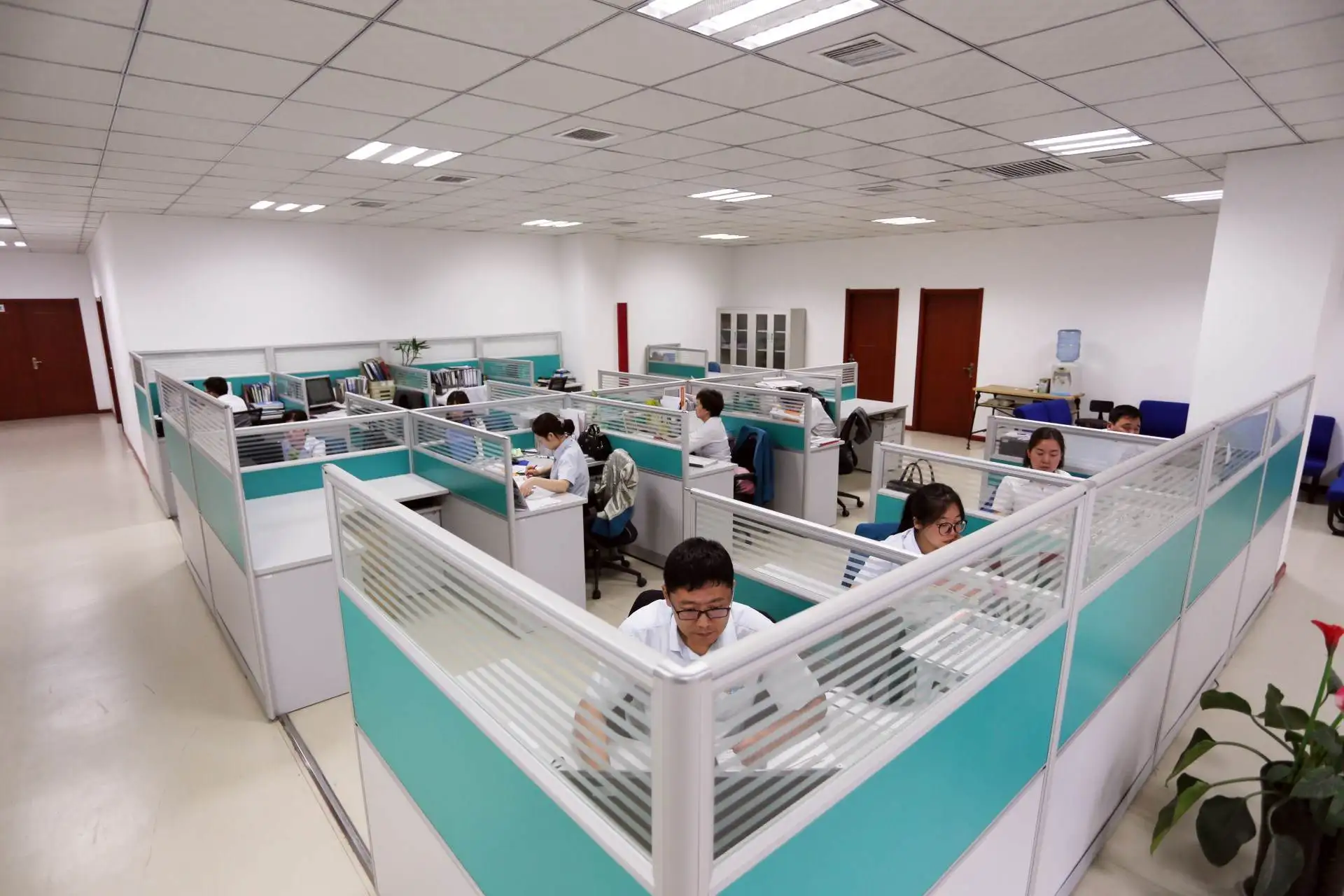 DROMAKA Yoni Candy - Enhance Pleasure with Natural Sugar