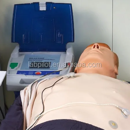 Alibaba.com: Labpilot LP/ALS10750+ ACLS Training Manikin, Human Life ...