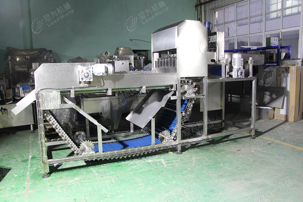 Leadworld Orange Peeler Machine - High Efficiency & Durability