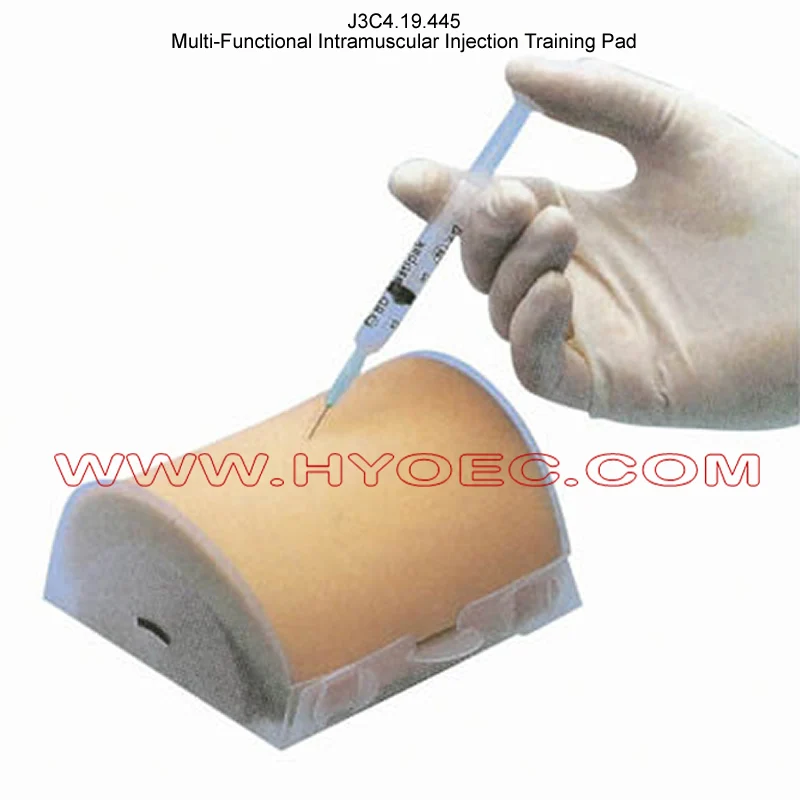 Multi-functional Intramuscular Injection Training Model