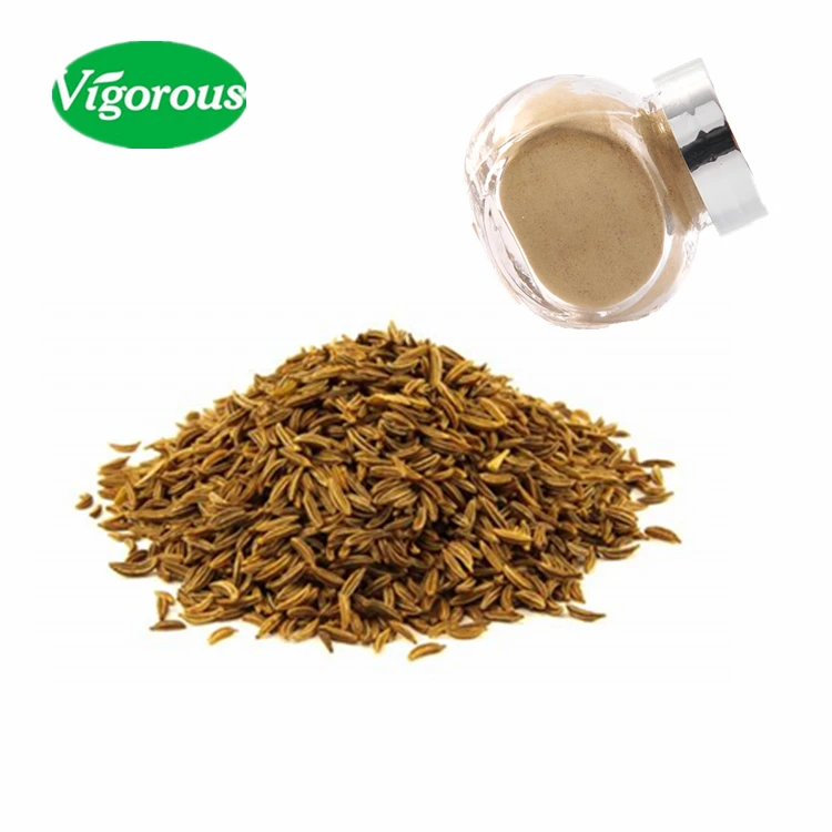 High Quality Pure Natural Caraway Seed Extract / Caraway Extract ...