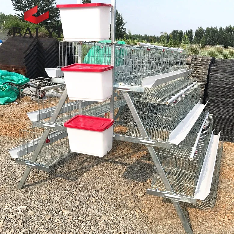 Alibaba.com: Enriched Colony System Chicken Cage for Farms, CE ...