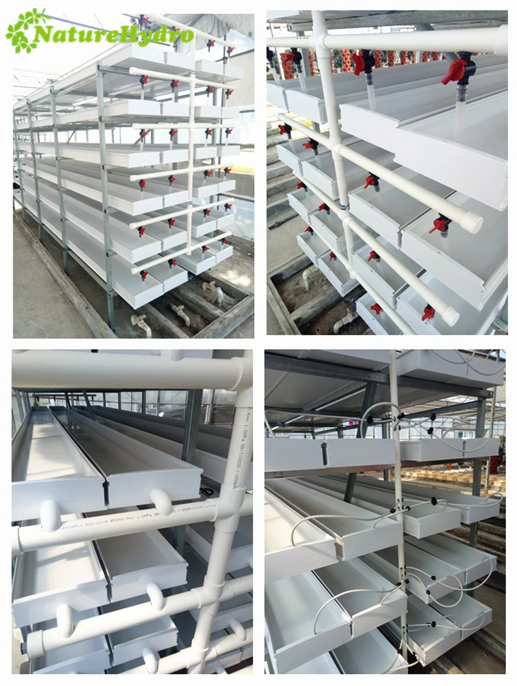 Barley Fodder Seed Hydroponic Trays for Fodder Machine| Alibaba.com