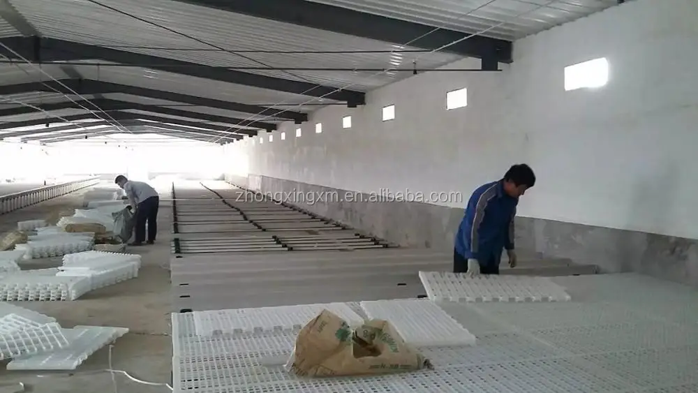 100*50cm Chicken Floor Plastic Slatted Floor Egg Breeder Hens Slat ...