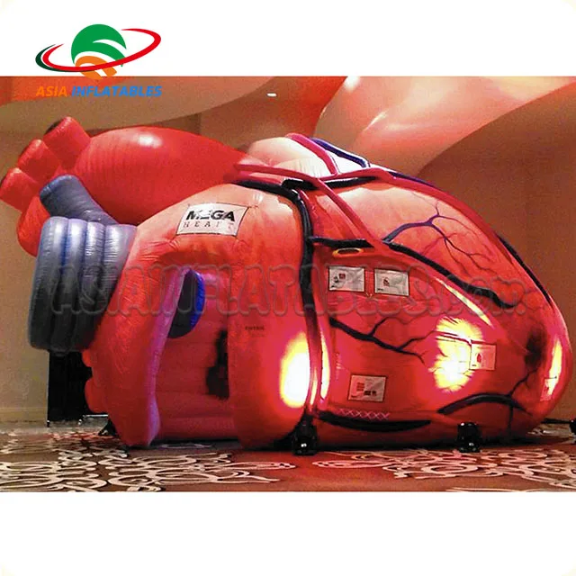 Inflatable Heart Artificial Custom Organ Model Inflatable Human Heart ...