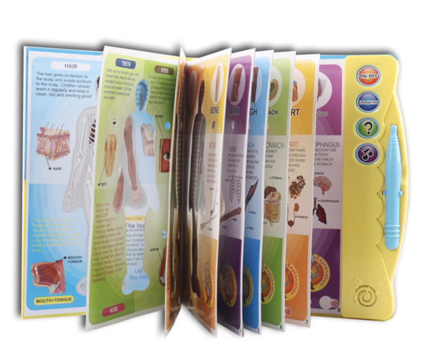 Electronic Learning Pen Point Reading Book Printing Books Oid Code ...