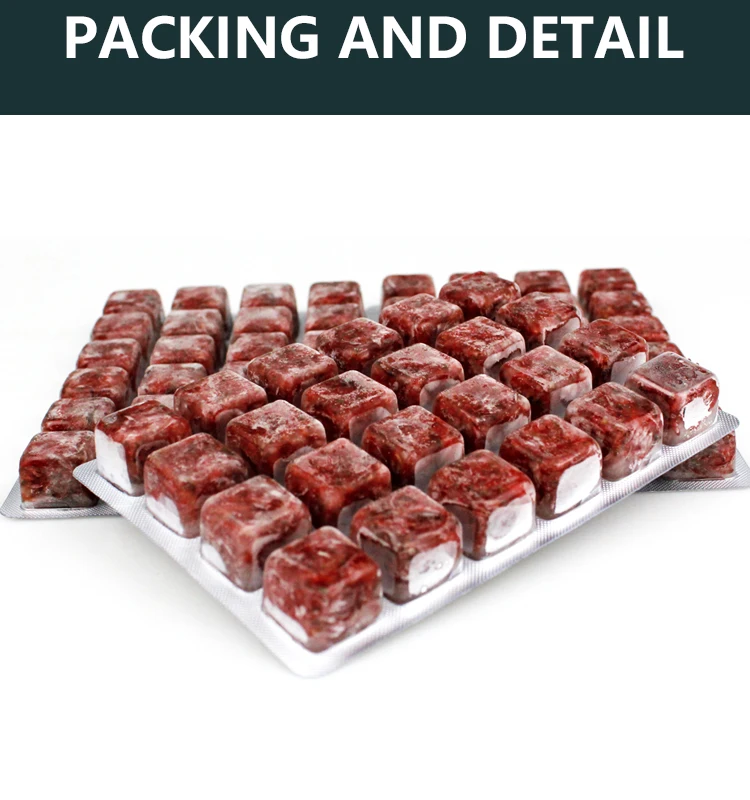Frozen Red Worms - Premium Bloodworms for Fish Aquariums