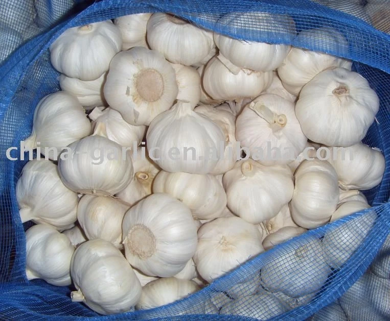 Fresh Garlic 10kg/bag Loosely - Buy Fresh Garlic,Garlic Price,New Crop ...