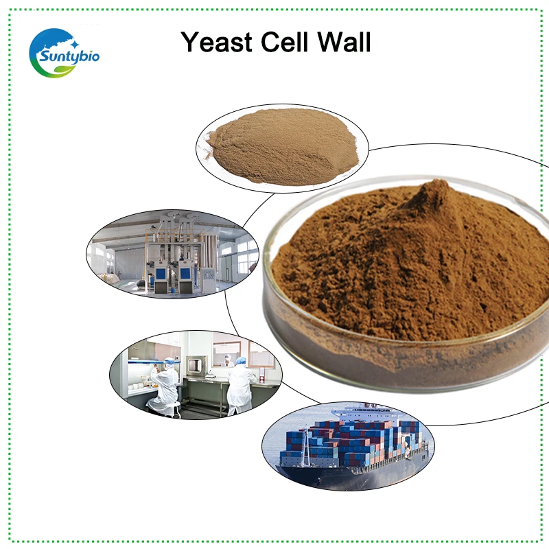 Yeast Cell Wall Saccharomyces Serevisiae - Buy Yeast Cell Wall High ...