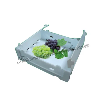 8 Kg Capacity White Box For Grapes / Insulation Sheet Box - Buy Box For ...