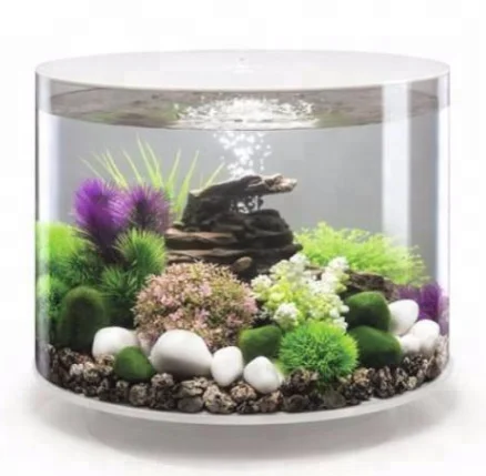 Clear Acrylic Fish Tank Desk Cylinder Unique Fish Tank Flower Vase For ...