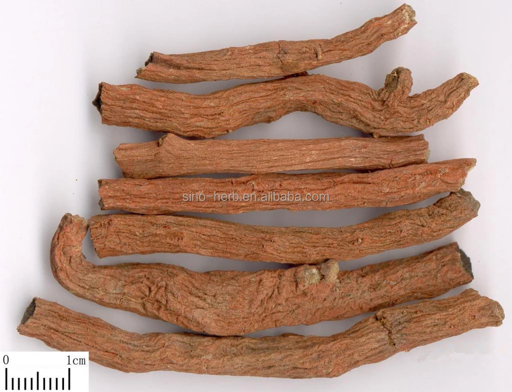 Natural Plant Chinese Herbs And Spices Dan Shen Slice Root Powder ...