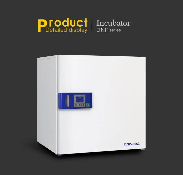 Kenton Environment Test Chamber Equipment for Microbiology Lab