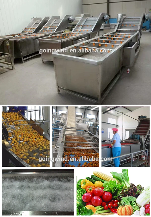 Dates Syrup Vacuum Evaporator Concentrator Date Syrup Maple Concentrate ...