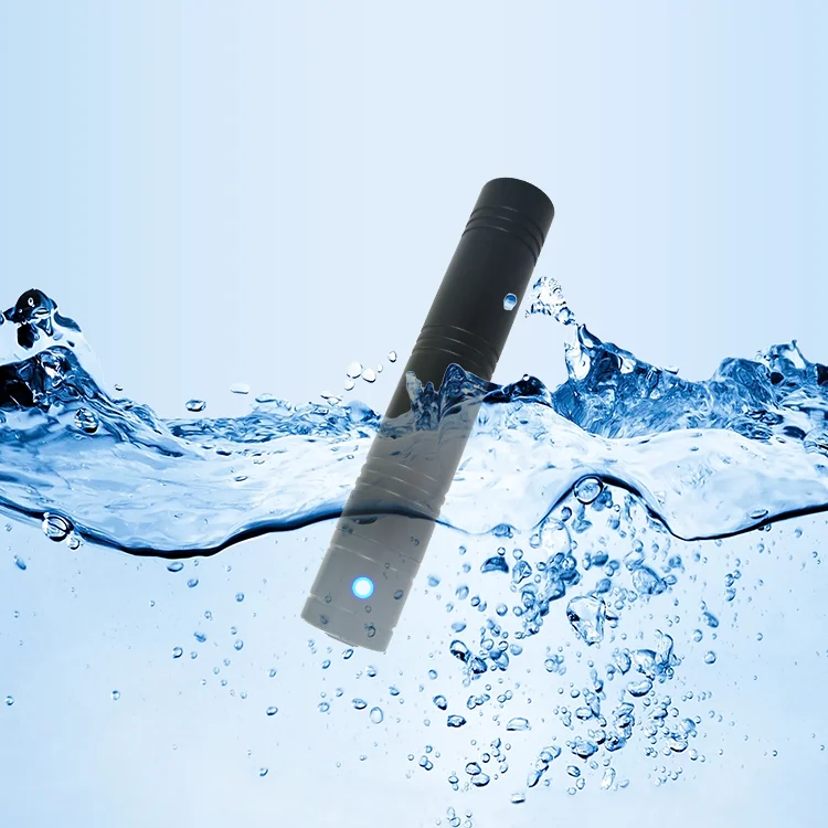 Rigorous Guard Clocking System - Security & Efficiency