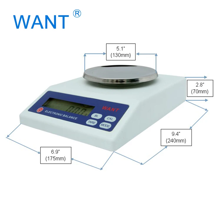 Electronic Balance Diagram