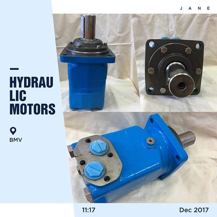 Omts 250 V Bearingless Hydraulic Motor Suitable For Winch,Gear Box,Roll ...
