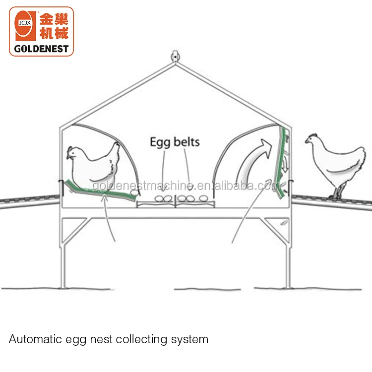 Automatic Poultry Farm Chicken Nest Layers Egg Collector Chicken Nest ...