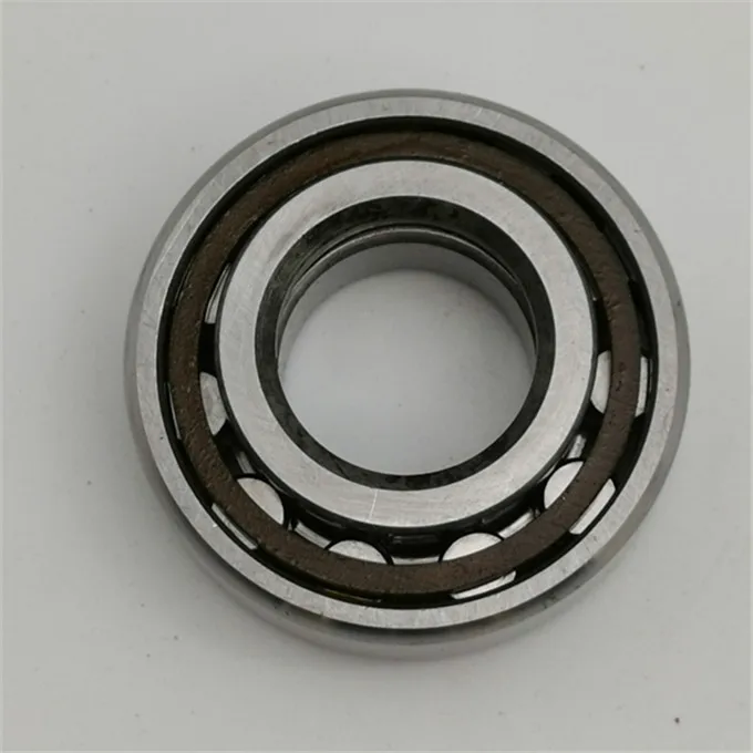 F-554185 Full Complement Cylindrical Roller Bearing F-554185.01 ...