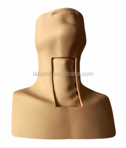 Thyrocricoid Puncture Manikin Tracheostomy Training Simulator - Buy ...