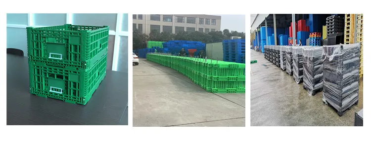 Hdpe Plastic Chicken Transport Crate /poultry Carrying Boxes - Buy ...