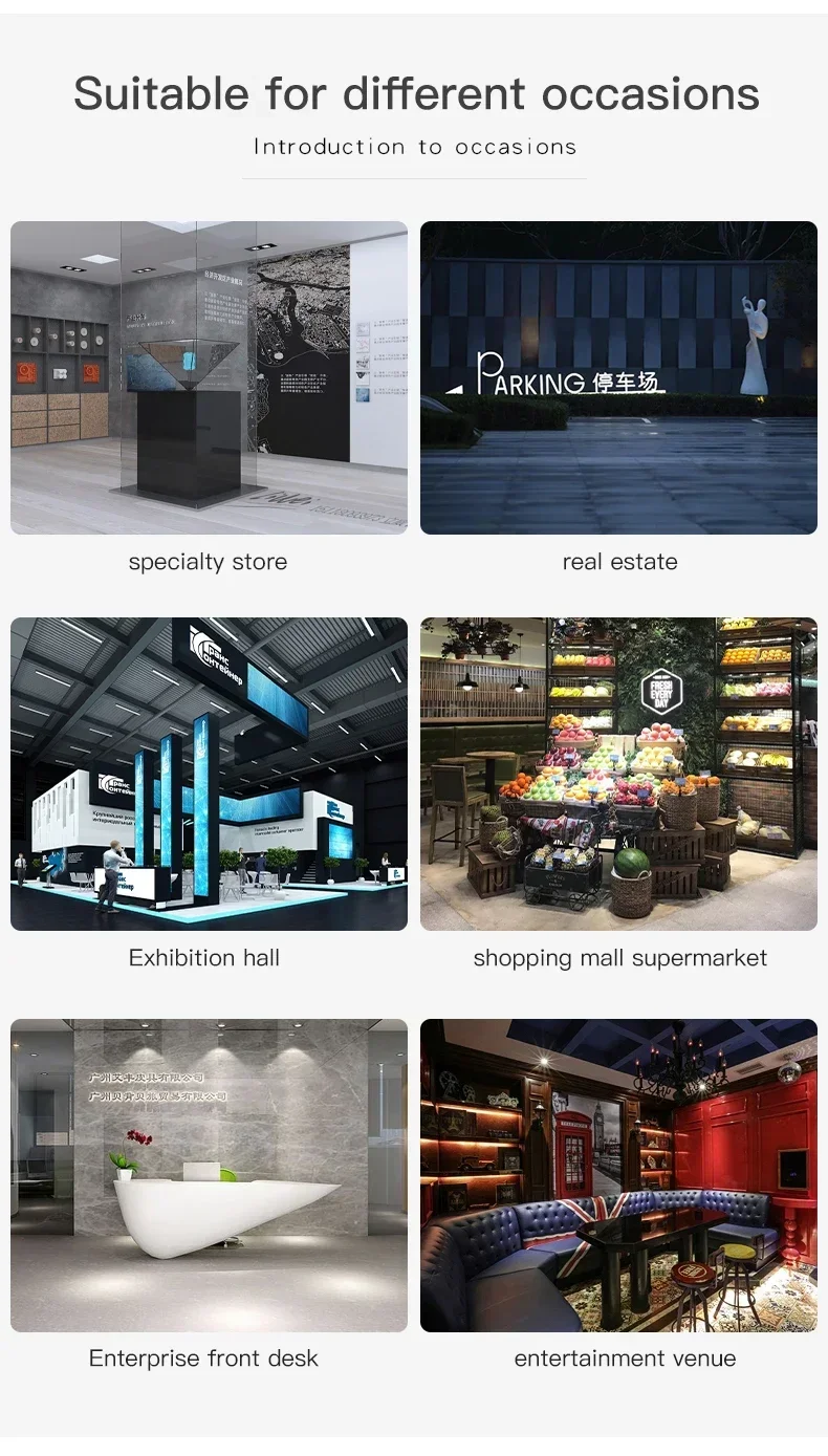 3D Rotary Projection Holographic Advertising Fan - IP65