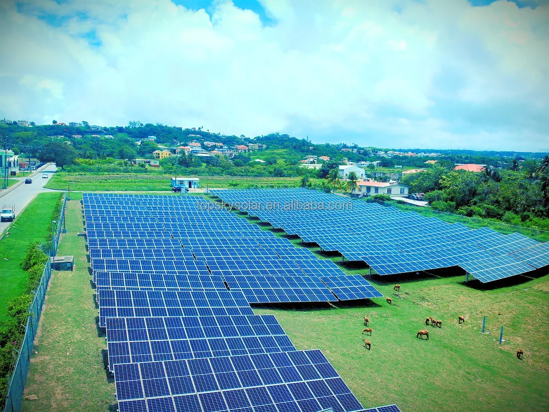 LONGI JA CSUN RISEN Solar Panels - High Efficiency & Durability