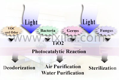 Nanotechnology Breakthrough: Tio2 Coating For Effective Bacteria ...