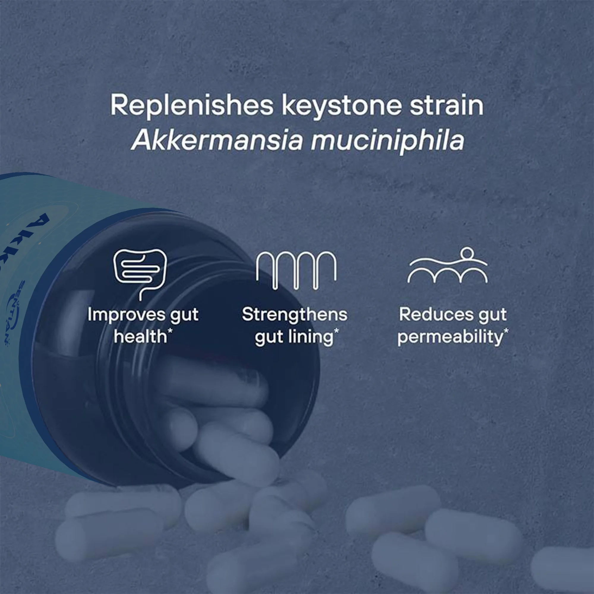 Akkermansia Muciniphila Capsules - Probiotic Health Boost