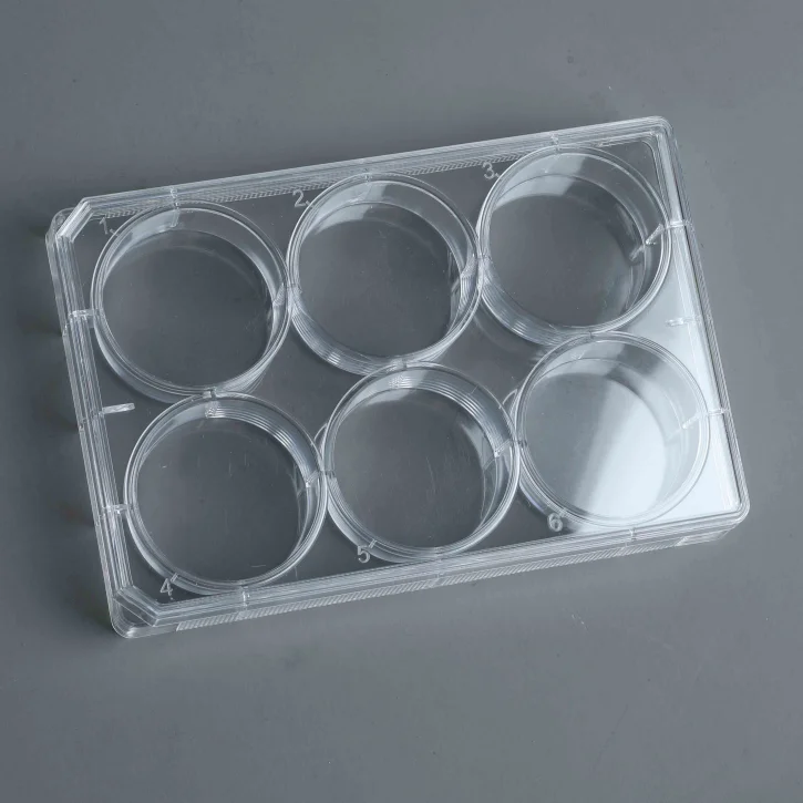 AMA Cell Culture Plate Laboratory Supplies Disposable TC-treated ...